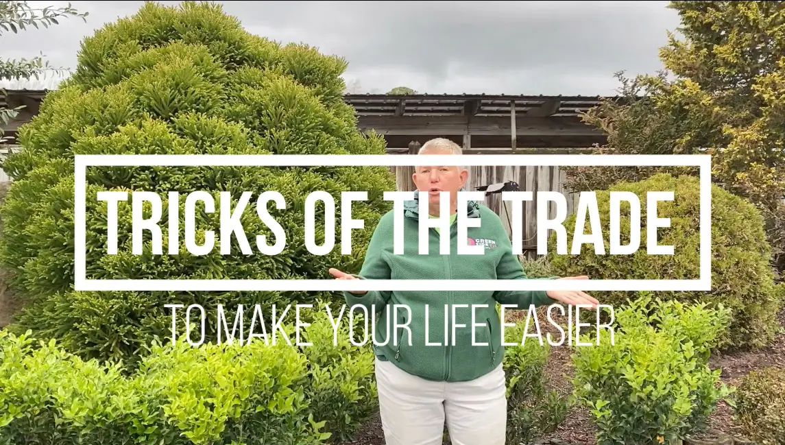 Tricks of the Trade | Landscaping Hacks - Green Biz Nursery and Landscaping