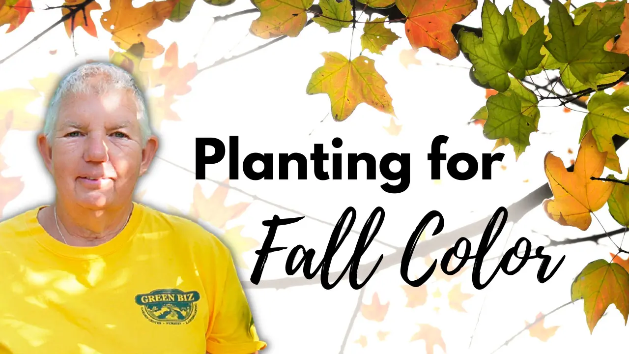 Planting for Fall Color - Green Biz Nursery and Landscaping