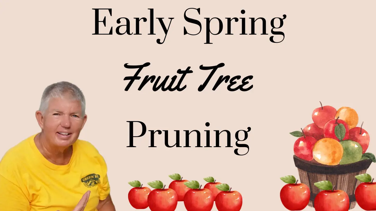 Early Spring Fruit Tree Pruning - Green Biz Nursery and Landscaping