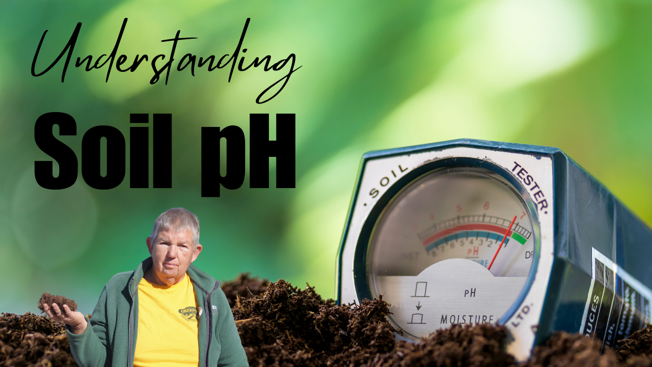 Soil pH in Fayetteville, NC: Understanding the Balance for Healthy ...