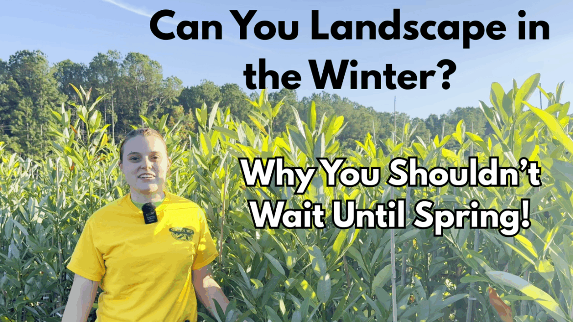 Why Winter Is the Best Time to Plant Trees and Shrubs in the Sandhills ...